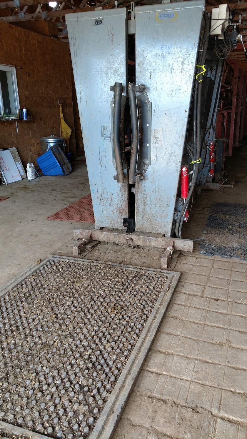 Mats for Cattle Work | CATL Resources Livestock Equipment