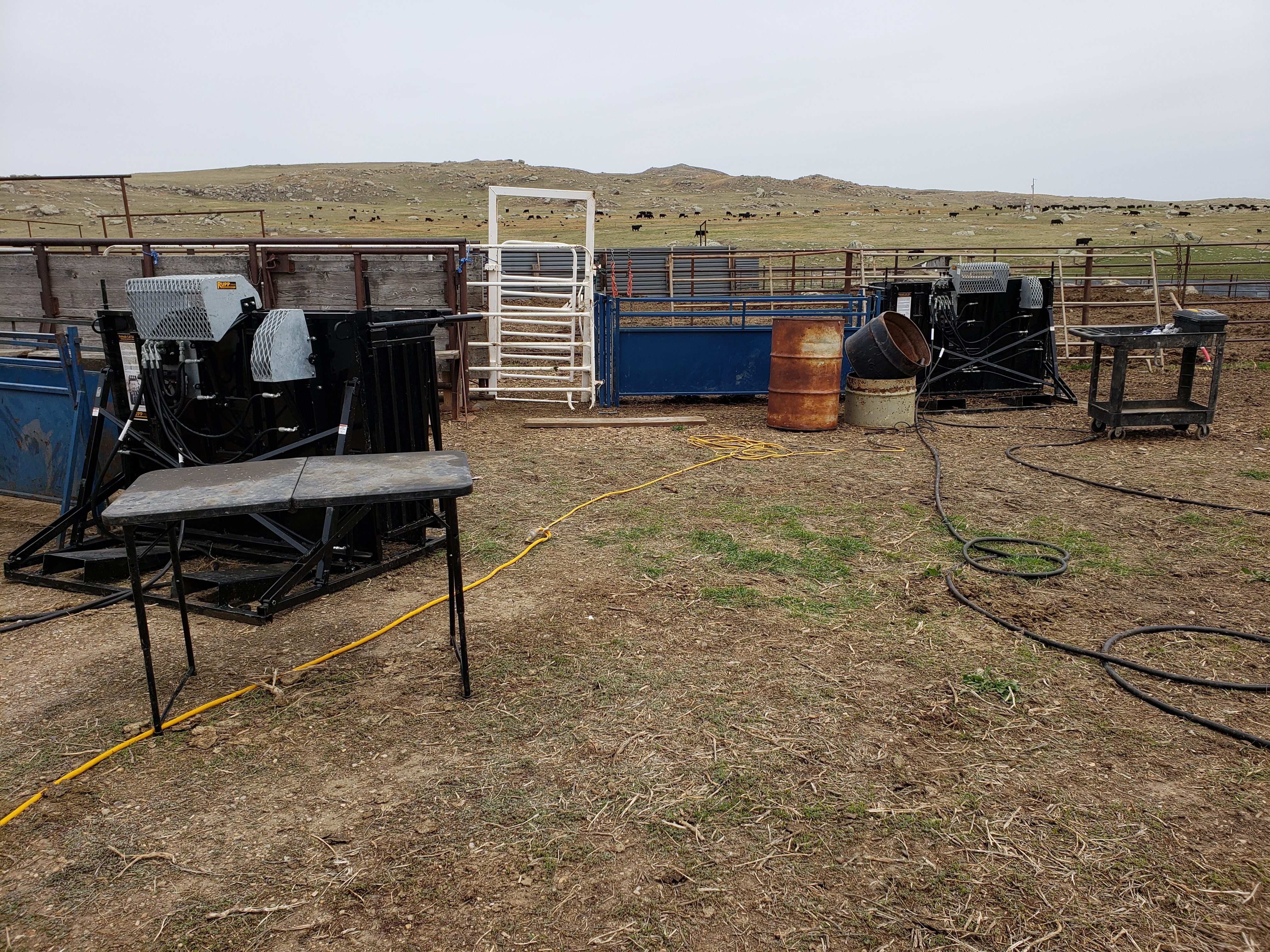 Two Calf Tables | CATL Resources Livestock Equipment